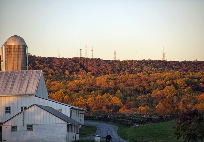 Fall foliage around Lancaster County as October comes to an end [photos ...