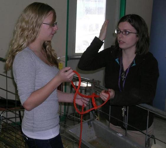 Ephrata students learn 'baaa-sics' of sheep husbandry | News ...