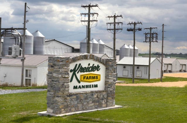 Group calls Manheim egg farm 'deplorable' | News | lancasteronline.com