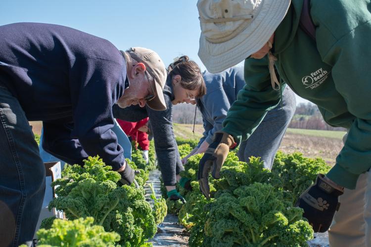 Lancaster Farmland Trust Farm to Pantry Project [photos ...