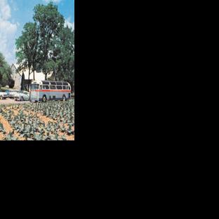 Welcome mat out 50 years | News | lancasteronline.com