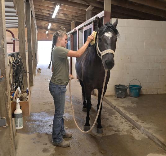 Weber family farm to become the 35,000th preserved acreage in Lancaster ...