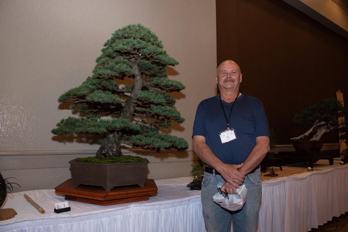 Inside a big bonsai show filled with tiny trees from Pennsylvania to ...