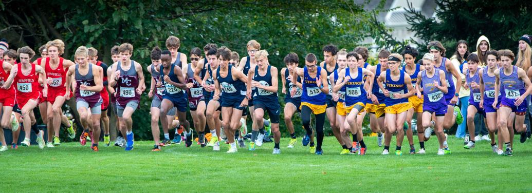 Here are your L-L League boys, girls cross country all-stars for 2022 ...