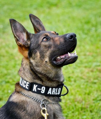 K-9 Arlo joins Northwest Regional police after months-long fundraising ...