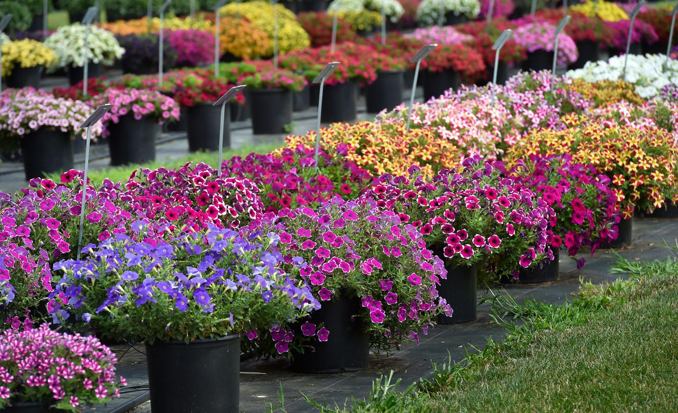 Where does soil come from? This Lancaster County company makes soil ...