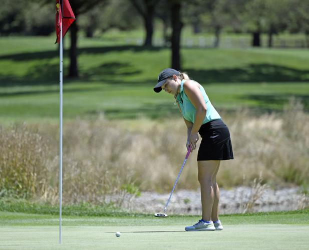 Gallery: LLCCGA Amateur | | lancasteronline.com