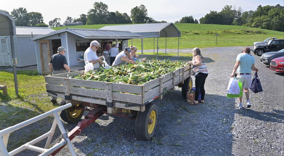Summer's favorite treat is ready at the Corn Wagon in Lancaster [photos ...