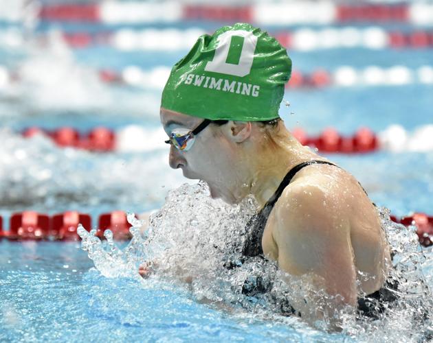 Record-breaking swim for Cocalico's Zach Sherk leads 6 gold medals at ...