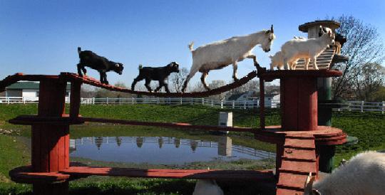 9 places to see animals in Lancaster County | Visit Lancaster | Family ...