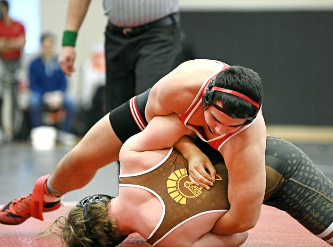 District 3 Class 3A Section 2 wrestling tournament [photos] | High ...