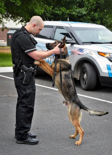 K-9 Arlo joins Northwest Regional police after months-long fundraising ...