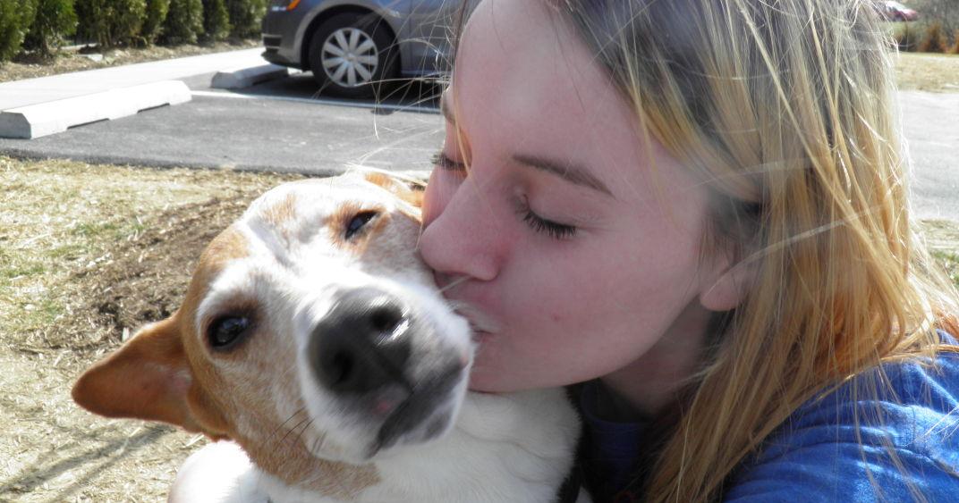 SPCA spotlight: Meet Jennifer Nields, operations manager and more ...