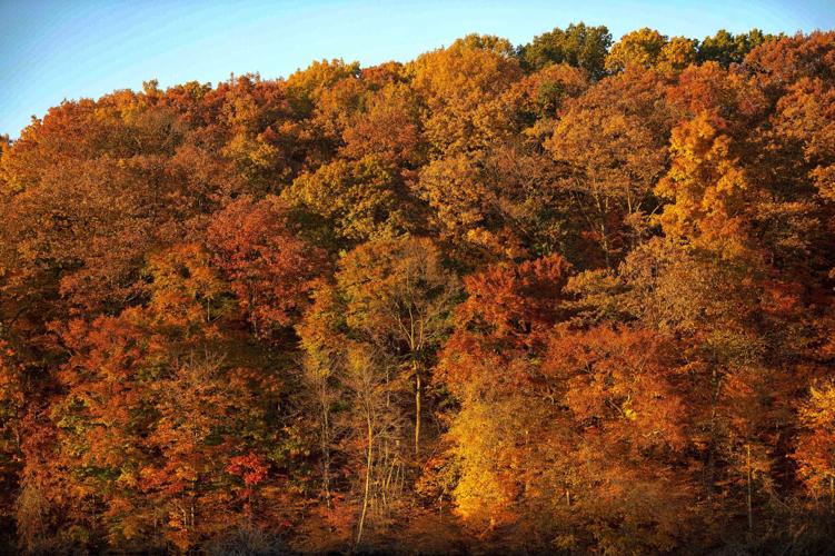 Fall foliage around Lancaster County as October comes to an end [photos ...