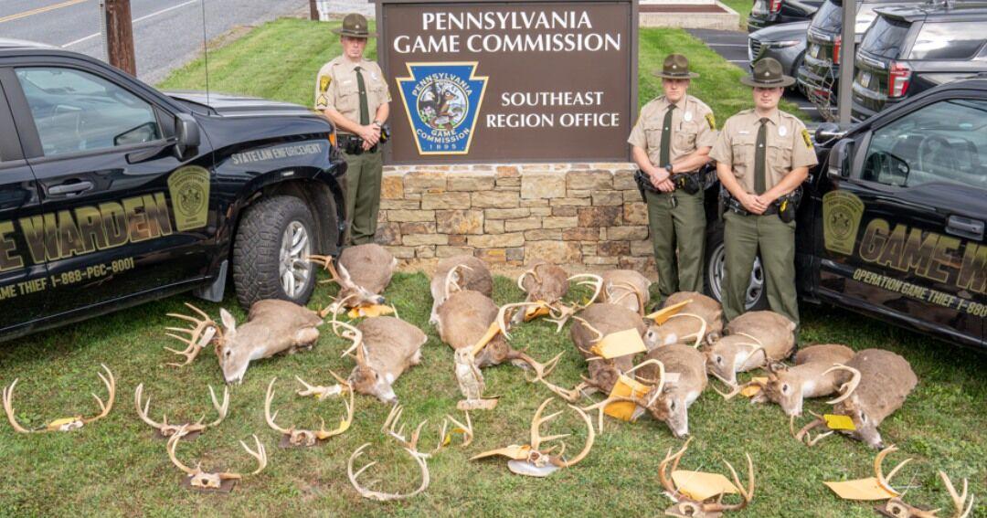 Chester County father, sons poached 'dozens upon dozens' of trophy ...