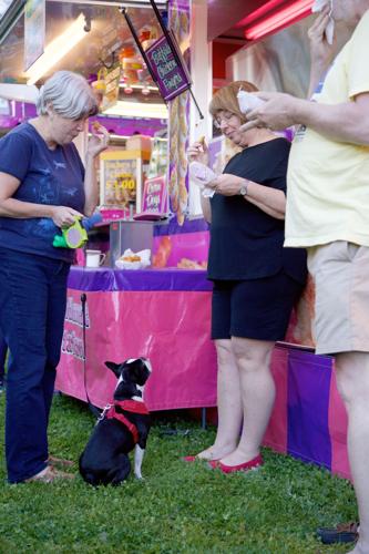 PHOTOS: Opening night of the 25th annual Buchanan Park Carnival | Local ...