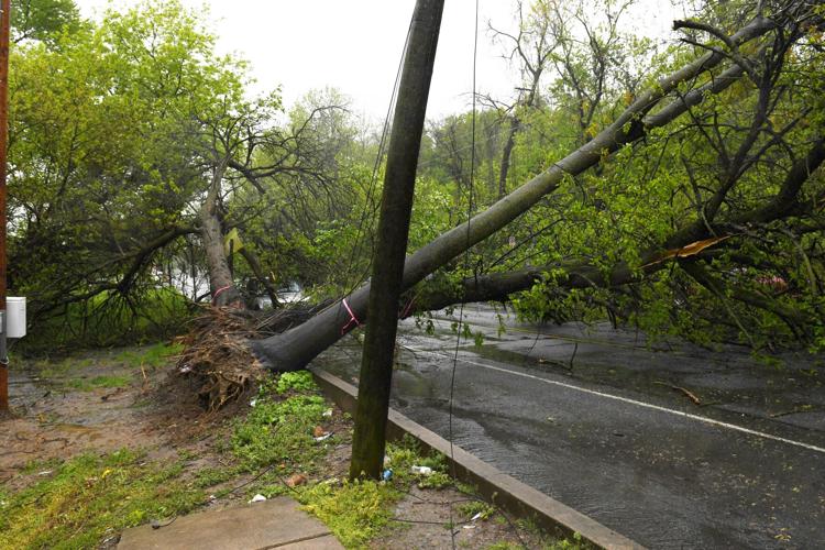 Trees down mid-day Sunday, blocking road in Lancaster city [update ...