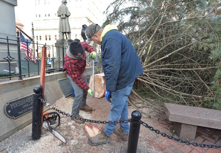 Christmas tree arrives in downtown Lancaster city [photos] | Local News ...