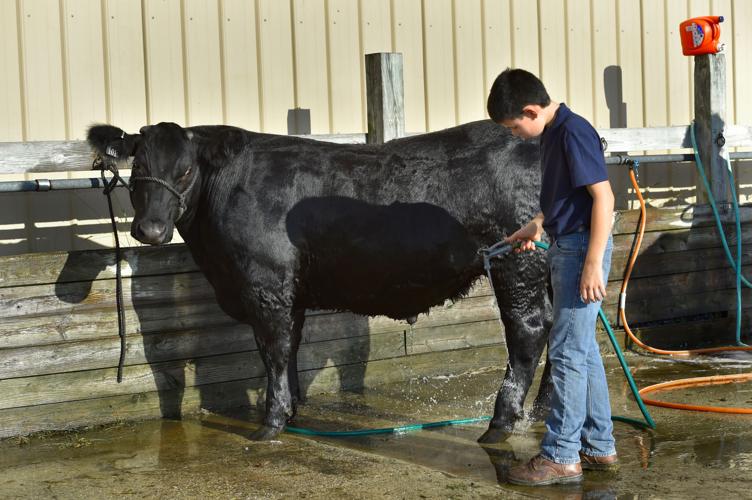 21 photos from the West Lampeter Fair | Local News | lancasteronline.com
