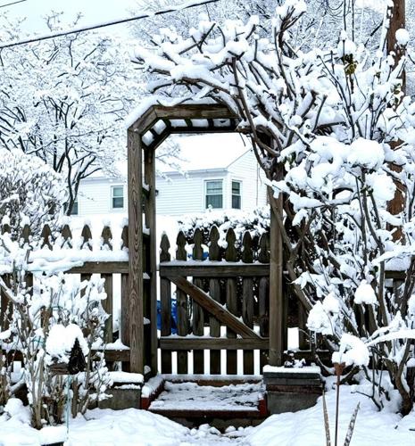 Readers share wintry sights from around Lancaster County [photos ...