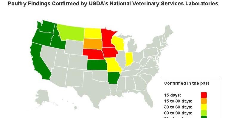 Avian flu at PA's doorstep? Wild geese caught in Michigan tested ...