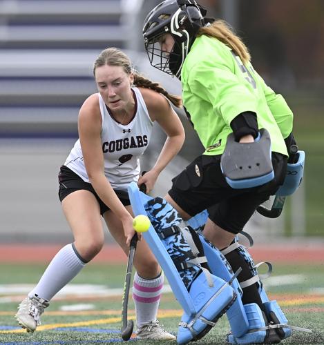 Annville-Cleona vs. Lancaster Country Day - District 3 Class 1A field ...