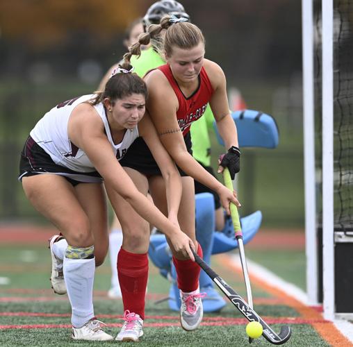 Annville-Cleona vs. Lancaster Country Day - District 3 Class 1A field ...