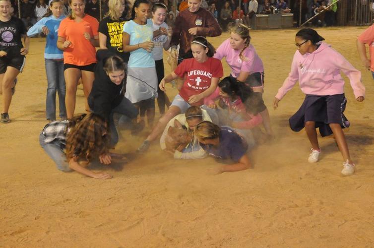 Watch: Animal rights activist arrested after jumping fence to protest ...