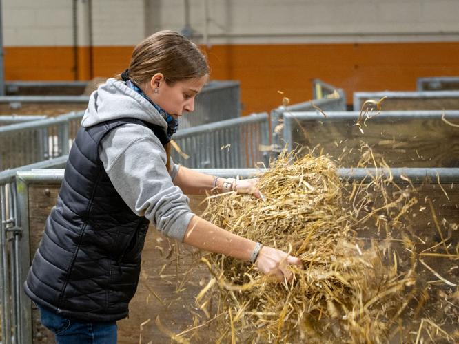 Fun rolls on at the 2024 PA Farm Show [photos] | Local News ...