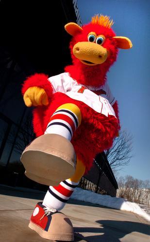 Hello, Cylo | News | lancasteronline.com