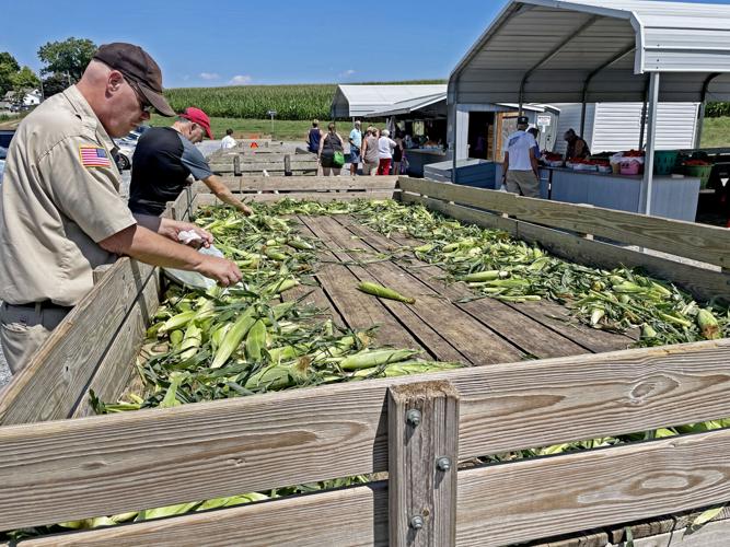 All ears at the Corn Wagon [photos] | Local News | lancasteronline.com
