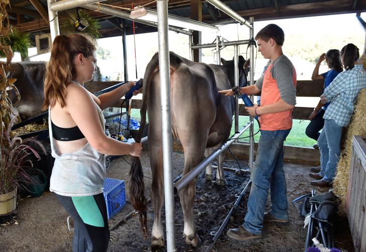 21 photos from the West Lampeter Fair | Local News | lancasteronline.com