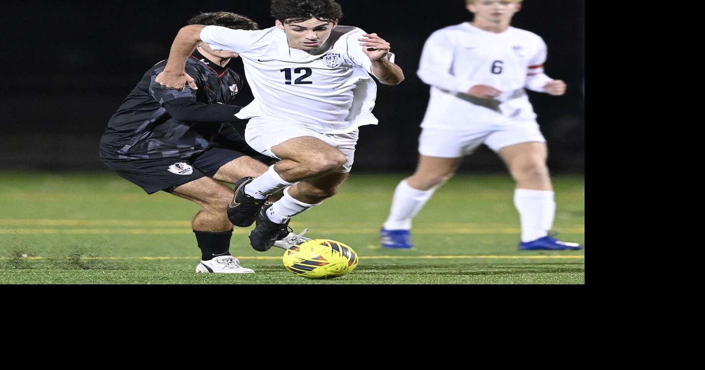 Max Shaub's goal lifts Manheim Township over Warwick in District 3 ...