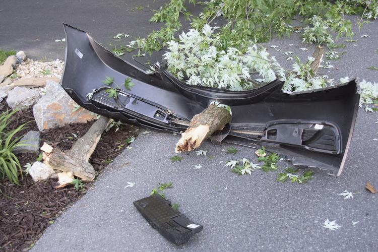 Large tree limb falls on 2 moving vehicles in Lancaster Twp.; no ...