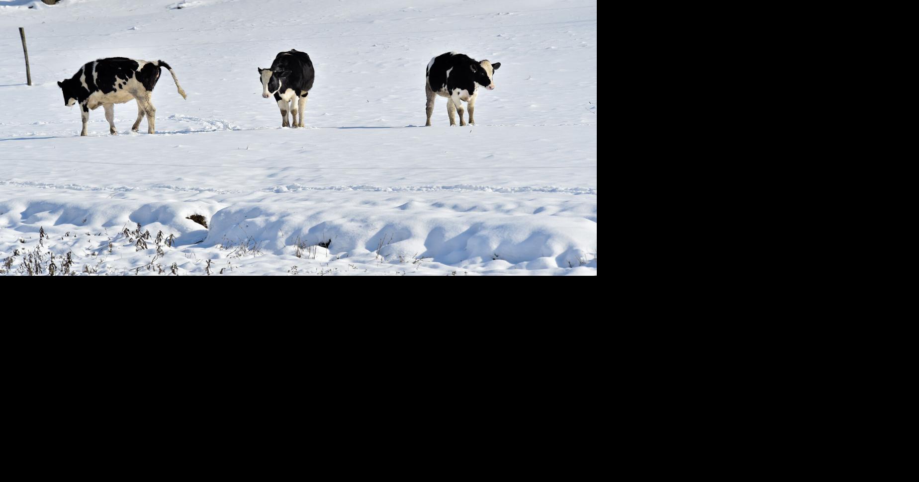 Snow, wintry mix expected Sunday night in Lancaster County; here's how ...