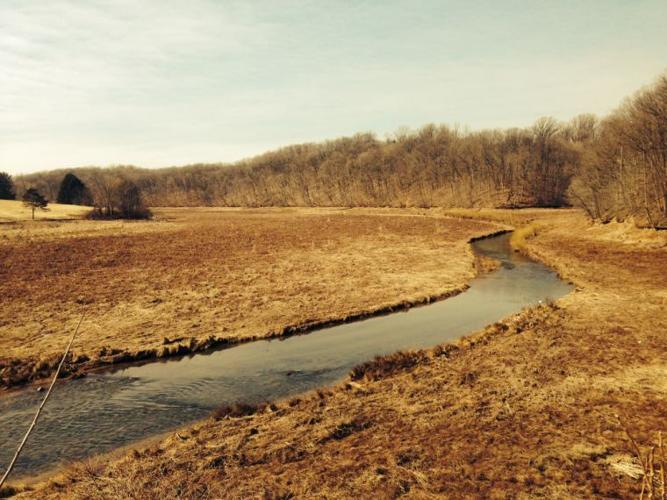 How wolves are helping bring back to life Lancaster County's Speedwell ...