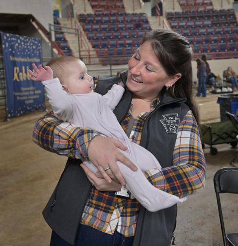 PA Farm Show rabbit committee co-chair Lia Swartz [photos ...