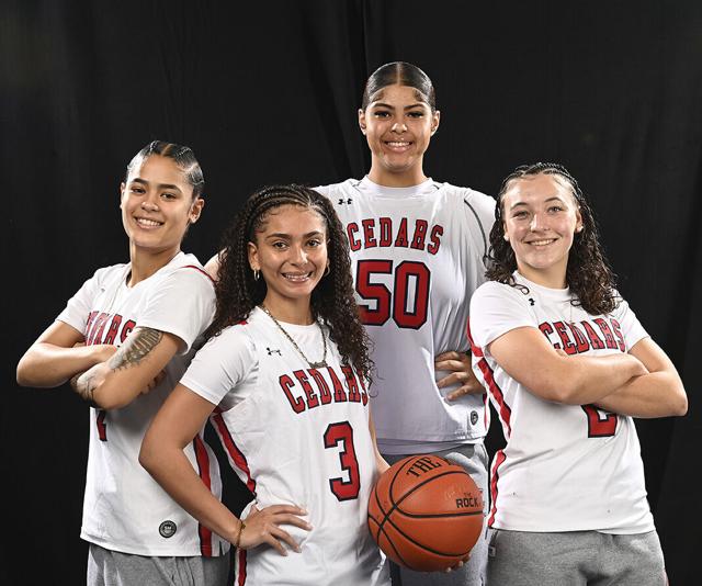 L-L League, CCAC teams angling for District 3 girls basketball titles ...