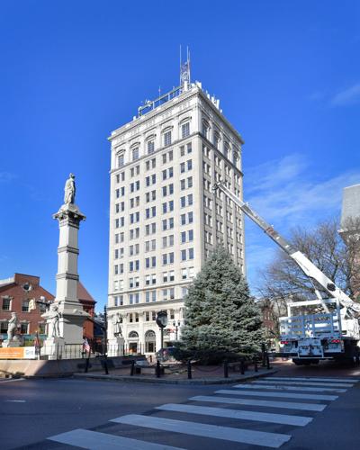 Lancaster city's Christmas tree goes up for 2024 [photos] | Local News ...