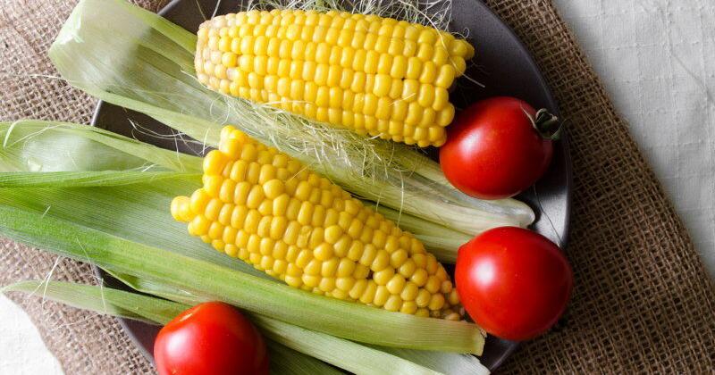 9 corn recipes perfect for summer | Food | lancasteronline.com