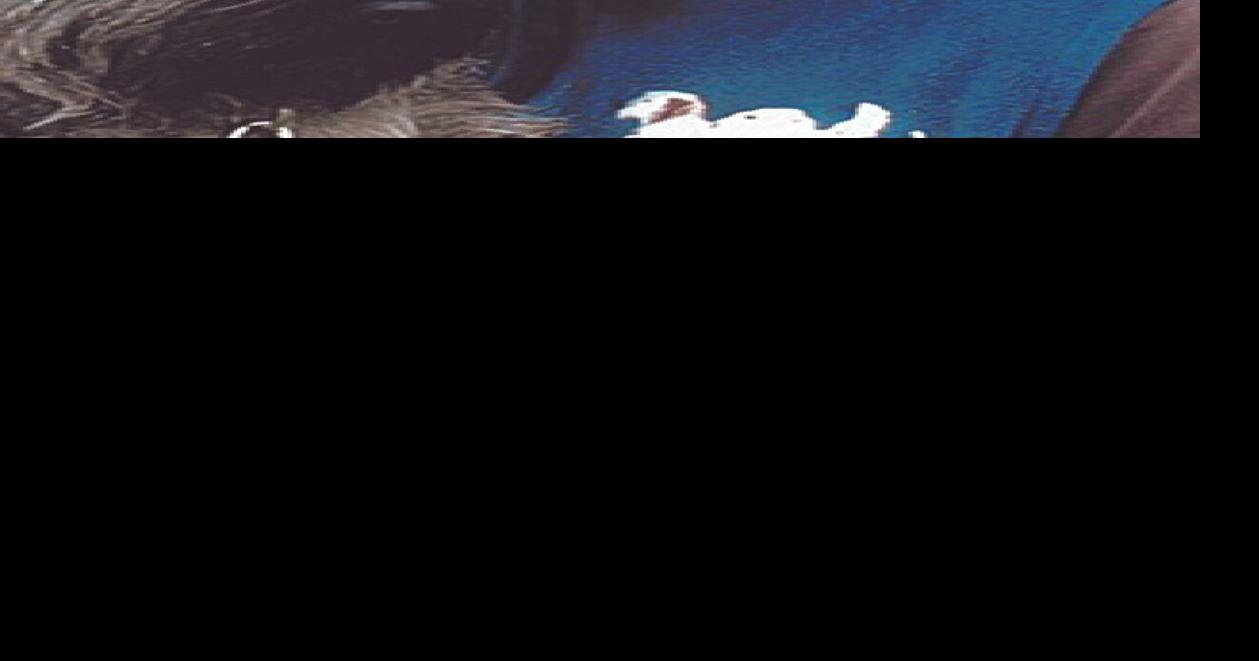 Brenda J. Hickernell (09/28/1950 - 11/09/2025) | Obituaries ...