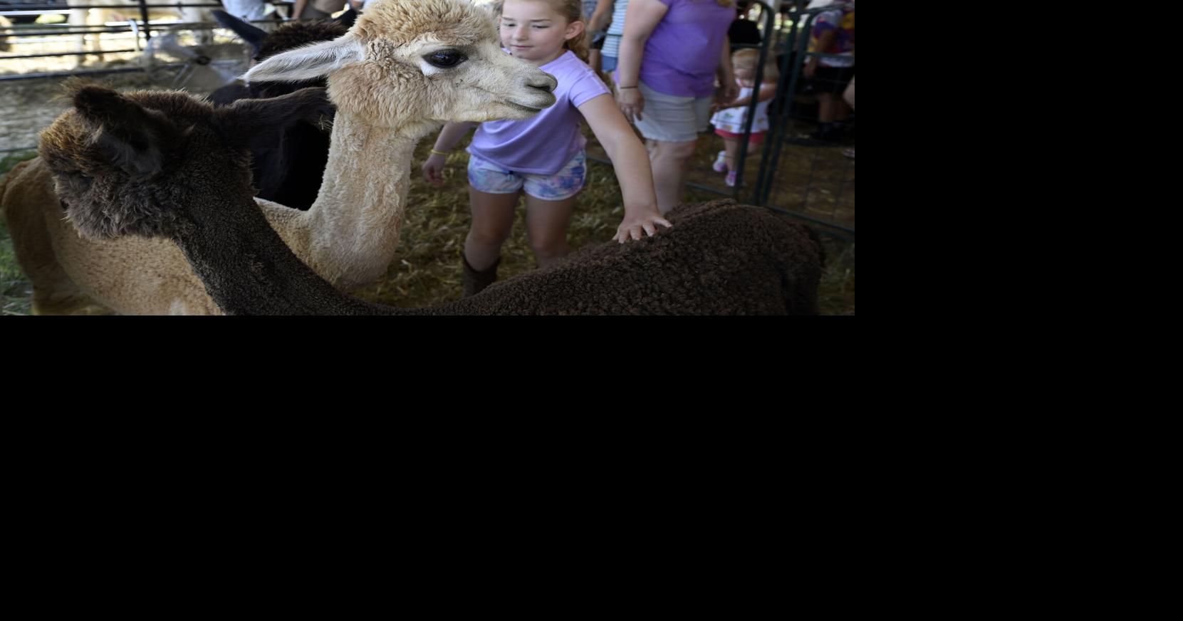 7 events in Lancaster County this week, from Lititz Parkwalk to Family ...