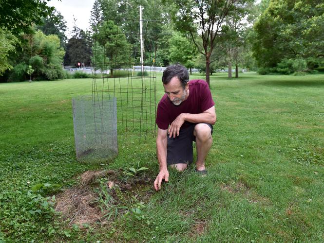 He thought he was just planting trees. But he created a sanctuary ...