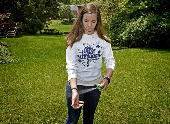 Expert advice to prevent mosquito bites this summer | Home & Garden ...