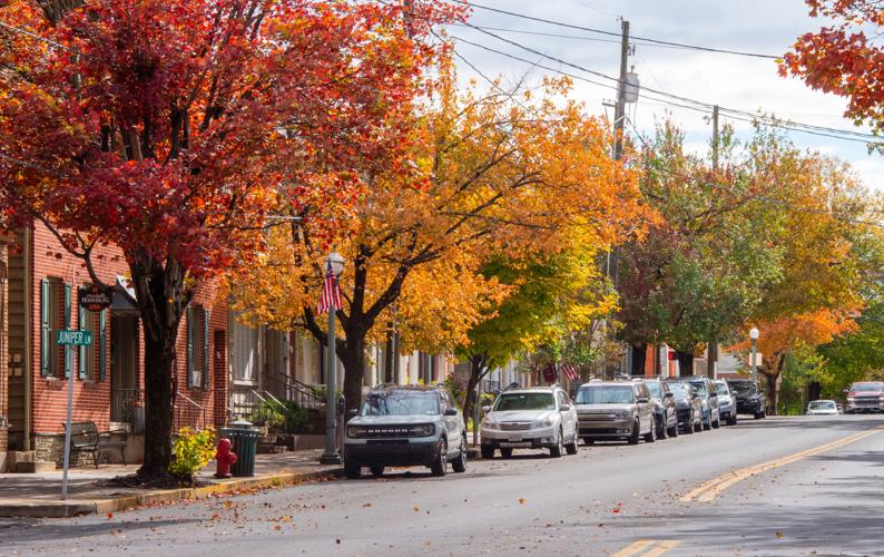 Fall foliage color crescendo in Lancaster County [photos] | Local News ...