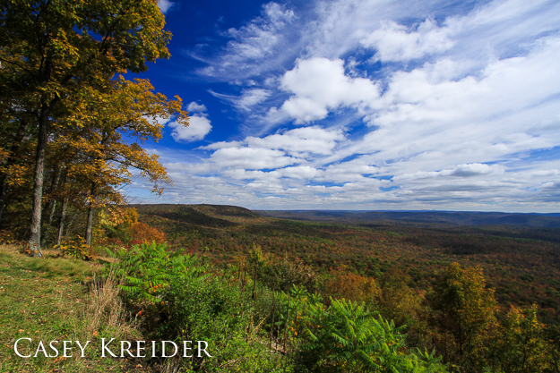 Sharp Top 10.1.12 | Blogs | lancasteronline.com
