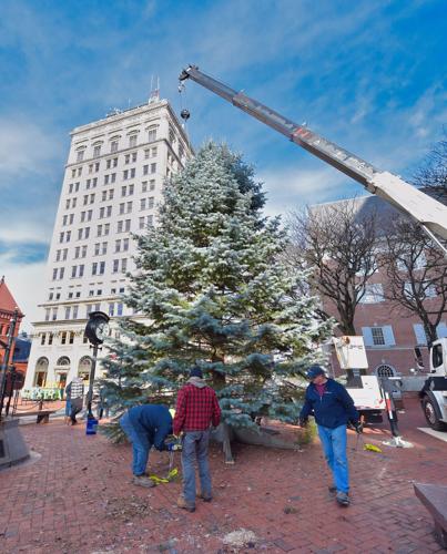 Christmas tree arrives in downtown Lancaster city [photos] | Local News ...