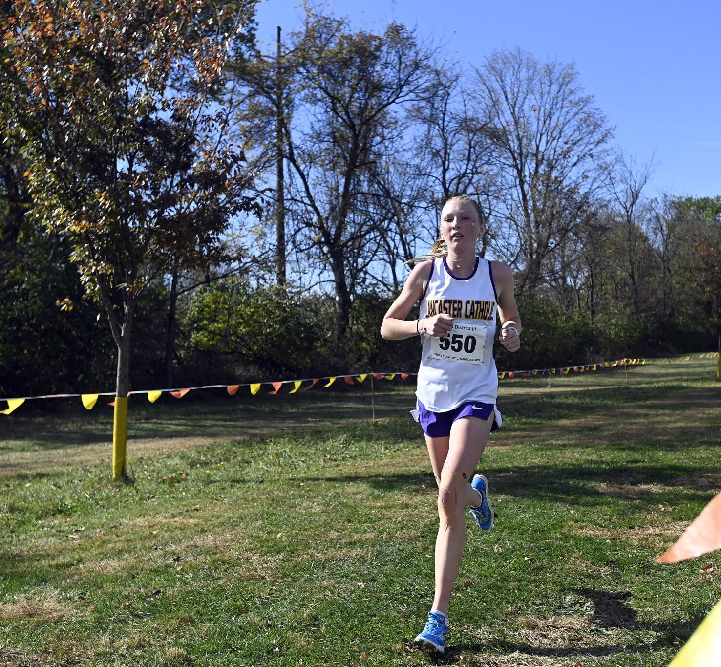 L-L League runners earn 2 individual gold medals, 2 team titles at ...