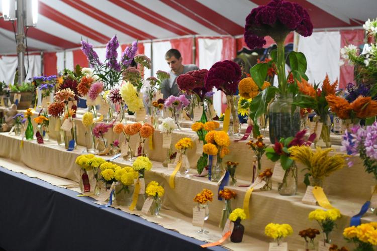 Denver Fair kicks off, with rides, food, entertainment and more; did we ...