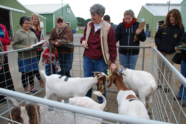 Manheim FFA hosts activities for children, students at Farm Show | News ...